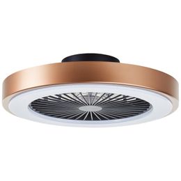Brilliant LED Deckenleuchte &raquo;Slimline&laquo; 1 Stk. RGB warmwei&szlig; - kaltwei&szlig; LED Deckenleuchte, Ventilator, ICRGB, CCT, 49 cm, 4700 lm, 3000-6500 K gold