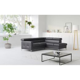COTTA Ecksofa &raquo;Sammy L-Form&laquo; mit Kopfteilverstellung, wahlweise mit Bettfunktion & Bettkasten schwarz Microfaser Primabelle (100% Polyester);Die 