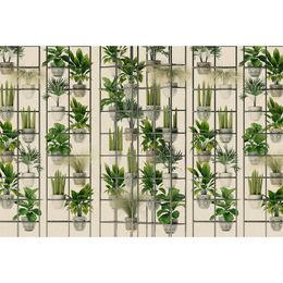 Livingwalls living walls Fototapete &raquo;Walls by Patel Plant Shop&laquo; glatt Vlies, Wand gr&uuml;n Vlies