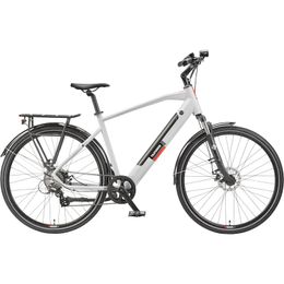 Telefunken Unisex &raquo;E-Trekking Expedition XT490 Herren&laquo; 8 Gang Shimano Altus Schaltwerk Kettenschaltung Heckmotor 250 W Pedelec, Elektrofahrrad, Herren