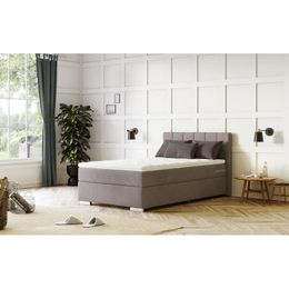 COTTA Boxspringbett &raquo;Simba&laquo; Topseller! wahlweise mit oder ohne Matratze und Topper bestellbar grau Polyester