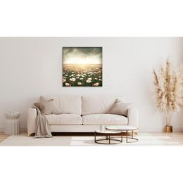 queence Acrylglasbild &raquo;Epson&laquo; Blumen Himmel Landschaft Pflanzen Pflanzenbilder Spa Spa Bilder Wiesen & B&auml;ume 1 Stk. tlg. Fine Art-Print in 