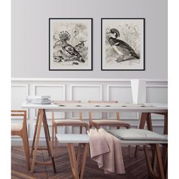 queence Bild &raquo;Ferdinand&laquo; Kunst Vogelbilder V&ouml;gel historische Ereignisse 1 Stk. tlg. HD Premium Poster-Druck inkl. Holzrahmen grau Acrylglas, Holz, 