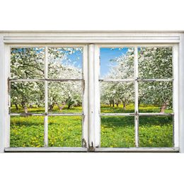 queence Leinwandbild &raquo;Apfelb&auml;ume&laquo; B&auml;ume Fensterblick Natur Wiesen & B&auml;ume 1 Stk. tlg. Premium-Leinwandstoff gr&uuml;n Canvas, Holzrahmen
