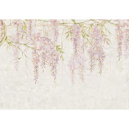 Komar Vliestapete &raquo;Digitaldruck Vlies - Wisteria - Gr&ouml;&szlig;e 400 x 280 cm&laquo; bedruckt glatt Wohnzimmer, Schlafzimmer bunt Vlies