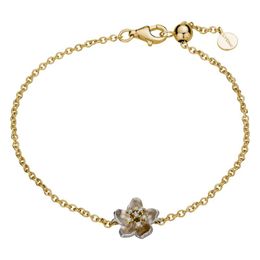 Lyomi Damen LYOMI Armband &raquo;585/- GG/WG Kirschbl&uuml;te 6 synth. Diam. 0,04ct.&laquo;