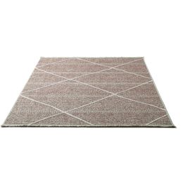 Sansibar Teppich &raquo;Braderup&laquo; rechteckig 2 mm H&ouml;he Flachgewebe, modernes Scandi Design, Motiv Rauten, mit Fransen rot Schurwolle