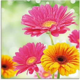 Artland Glasbild &raquo;Nat&uuml;rliche Romantik - Gerberas&laquo; Blumen 1 Stk. tlg. in verschiedenen Gr&ouml;&szlig;en bunt