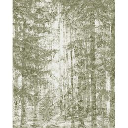 Komar Vliestapete &raquo;Digitaldruck Vlies - Fading Forest - Gr&ouml;&szlig;e 200 x 250 cm&laquo; bedruckt glatt Wohnzimmer, Schlafzimmer rot Vlies