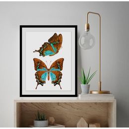 queence Bild &raquo;Nala&laquo; Insekten Kunst Schmetterlinge 1 Stk. tlg. HD Premium Poster-Druck inkl. Holzrahmen braun Acrylglas, Holz, Papier