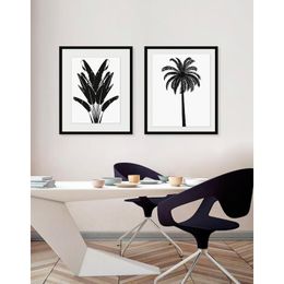 queence Bild &raquo;Palma&laquo; Bl&auml;tter Kunst Pflanzen Pflanzenbilder Schwarz-Wei&szlig; 1 Stk. tlg. HD Premium Poster-Druck inkl. Holzrahmen schwarz Acrylglas, Holz, 