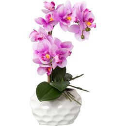 Creativ green Kunstorchidee &raquo;Deko-Orchidee Phalaenopsis im Keramiktopf&laquo; lila Obermaterial: 95% Polyethylen, 5% Polyester