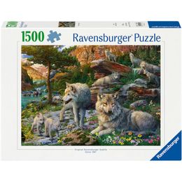 Ravensburger Puzzle &raquo;Wolfsrudel im Fr&uuml;hlingserwachen&laquo; Made in Germany bunt