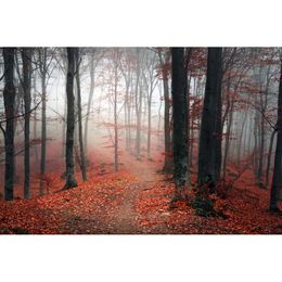 queence Leinwandbild &raquo;Herbstwald&laquo; Baumbilder B&auml;ume Kunst Modern 1 Stk. tlg. Akustikbild mit sehr guten Schallabsorptions-Eigenschaften rot Holzrahmen,