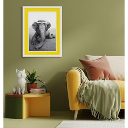 queence Bild mit Rahmen &raquo;Elefant&laquo; Elefant Elefanten Elefanten Bilder Schwarz-Wei&szlig; 1 Stk. tlg. Poster mit buntem Acrylglas Passepartout gelb Acrylglas,