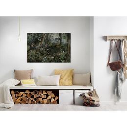 A.S. Cr&eacute;ation Leinwandbild &raquo;jungle&laquo; Gem&auml;lde Kunst 1 Stk. tlg. Keilrahmen Bild Dschungel Wald Leinwand-Bild Wohnzimmer modern Kinder gr&uuml;n Holz, Stahl