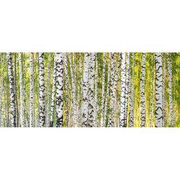 ARCHITECTS PAPER Fototapete &raquo;Birch Forest&laquo; Vlies, Wand, Schr&auml;ge bunt Vlies