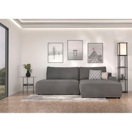 Trendmanufaktur Ecksofa &raquo;Fordon II, Schlafsofa mit Bettkasten, Couch in L-Form, Breite 250 cm&laquo; in Struktur fein LEO, haustierfreundlich, anthrazit, 