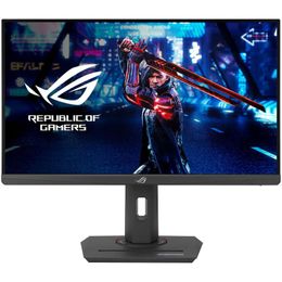 ASUS Gaming-Monitor &raquo;XG259QNS&laquo; 62 cm/25 &prime;&prime; 1920 x 1080 px Full HD 1 Reaktionszeit 380 Hz FreeSync Premium f&uuml;r ein nahtloses Spielerlebnis ohne Tearing
