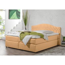 Maintal Boxspringbett in diversen Ausf&uuml;hrungen braun Seitliche Einfassung Unterbox und Obermatratze: Mikrovelours (100% Polyester);Spiegelfl&auml;che der Unterbox 