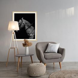 queence Bild mit Rahmen &raquo;Pferd, Pferdeprofil&laquo; Foto Menschen Pferde Pferdebilder HD Premium Poster-Druck inkl. Echtholzrahmen in beige Acrylglas, 