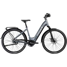Tretwerk Unisex &raquo;Amber Nexus&laquo; 8 Gang Nabenschaltung Mittelmotor 250 W Amber Nexus E Bike Damen 28 Zoll Elektrofahrrad 155 - 185cm grau