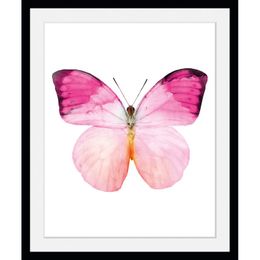 queence Bild &raquo;Jody&laquo; Insekten Kunst Schmetterlinge 1 Stk. tlg. HD Premium Poster-Druck inkl. Holzrahmen rosa Acrylglas, Holz, Papier