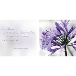 queence Leinwandbild &raquo;Worte der Natur&laquo; Bl&auml;tter Bl&auml;tterbilder Kunst Modern Schriftzug Schriftz&uuml;ge Spa Spa Bilder Spr&uuml;che Spr&uuml;che & Texte Set, Premium-