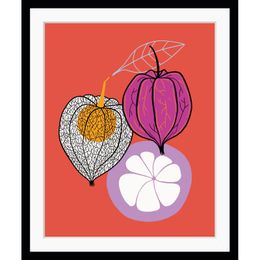 queence Bild &raquo;Franziska&laquo; Kunst Lebensmittel Obst Obst Bilder HD Premium Poster-Druck inkl. Holzrahmen bunt Acrylglas, Holz, Papier