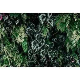 Livingwalls living walls Fototapete &raquo;Walls by Patel Deep Green&laquo; glatt Vlies, Wand gr&uuml;n Vlies