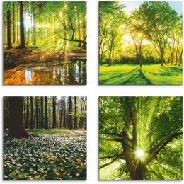 Artland Leinwandbild &raquo;Wald Bach Fr&uuml;hling Windrosen Sonne Baum&laquo; Wald 4 Stk. tlg. 4er Set, verschiedene Gr&ouml;&szlig;en gr&uuml;n Leinwand, MDF