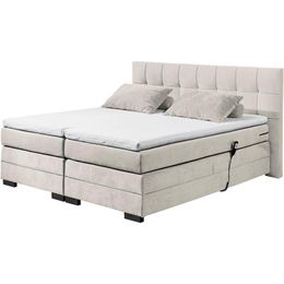 ED EXCITING DESIGN Boxspringbett &raquo;Talena&laquo; inkl. Motor und Topper beige 100% Polyester