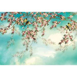 Komar Fototapete &raquo;Sakura - Gr&ouml;&szlig;e 368 x 254 cm&laquo; bedruckt glatt Wohnzimmer, Schlafzimmer bunt Papier