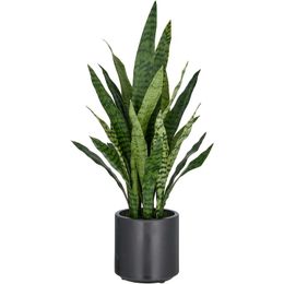 Creativ green Kunstpflanze &raquo;Sansevieria zeylanica&laquo; im eleganten Topf gr&uuml;n Kunststoff