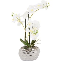 OTTO home Kunstpflanze &raquo;Orchidee&laquo; Kunstorchidee, im Topf, Bestseller, &uuml;ber 2500 4,5-Sterne-Bewertungen bunt Keramik, Kunststoff, Polyester