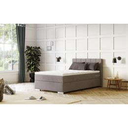 COTTA Boxspringbett &raquo;Simba&laquo; Topseller! wahlweise mit oder ohne Matratze und Topper bestellbar grau Polyester