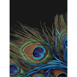 Kinzler Wohndecke &raquo;Mikrofaser Fotodruck "Pfau"&laquo; Kuscheldecke, bedruckt, 150x200 cm bunt Polyester