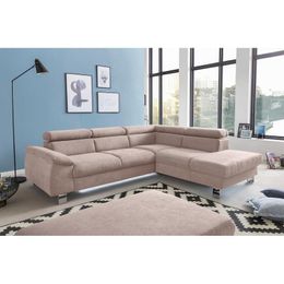 COTTA Ecksofa &raquo;Komaris L-Form, B: 249 cm&laquo; mit Kopfteilverstellung, optional Bettfunktion, Bettkasten & Licht braun Microfaser PRIMABELLE (100% 
