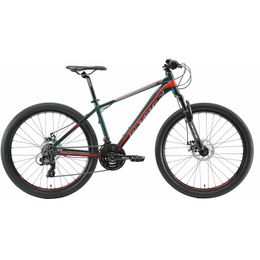 Bikestar Mountainbike 21 Gang Shimano RD-TY300 Schaltwerk Kettenschaltung f&uuml;r Damen und Herren, Kettenschaltung gr&uuml;n Mountainbike