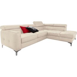 COTTA Ecksofa &raquo;Sammy L-Form&laquo; mit Kopfteilverstellung, wahlweise mit Bettfunktion & Bettkasten beige Microfaser Primabelle (100% Polyester);Die 