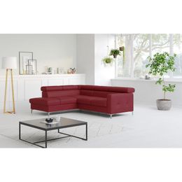 COTTA Ecksofa &raquo;Sammy L-Form&laquo; mit Kopfteilverstellung, wahlweise mit Bettfunktion & Bettkasten rot Microfaser Primabelle (100% Polyester);Die R&uuml;ckseite