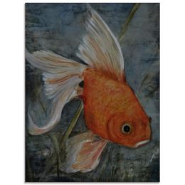 Artland Glasbild &raquo;Feng Shui - Goldfisch&laquo; Wassertiere 1 Stk. tlg. in verschiedenen Gr&ouml;&szlig;en orange