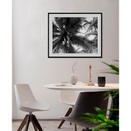 queence Bild &raquo;Mary&laquo; Foto Himmel Palmen Pflanzen Pflanzenbilder Schwarz-Wei&szlig; 1 Stk. tlg. HD Premium Poster-Druck inkl. Holzrahmen schwarz Acrylglas, 