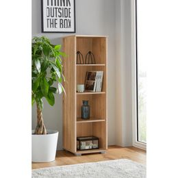 Priess Standregal braun Holzwerkstoff