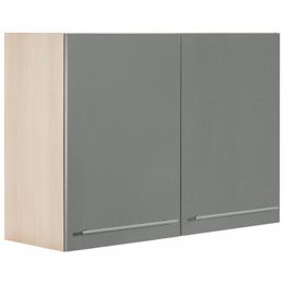 Optifit H&auml;ngeschrank &raquo;Bern&laquo; Breite 100 cm, 70 cm hoch, 2 T&uuml;ren, mit Metallgriffen grau