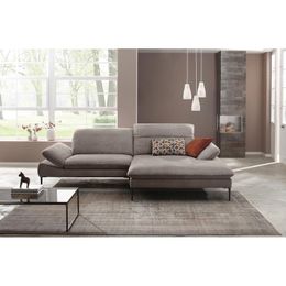W.Schillig Ecksofa &raquo;enjoy&MORE, Designsofa, elegant und bequem, L-Form&laquo; Sitztiefenverstellung, F&uuml;&szlig;e schwarz pulverbeschichtet, Breite 294 cm grau 