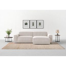 Trendmanufaktur Ecksofa &raquo;Braga, mit hochwertigem Kaltschaum, L-Form, in Cord erh&auml;ltlich&laquo; modernes Sofa, Couch mit hohem Sitzkomfort, 255/72/160 cm (B/