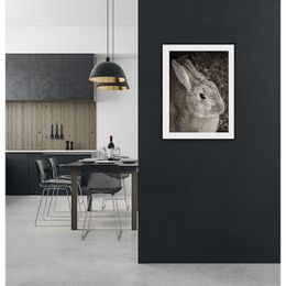 queence Bild &raquo;Tilde&laquo; Foto Haustiere Kunst 1 Stk. tlg. HD Premium Poster-Druck inkl. Holzrahmen braun Acrylglas, Holz, Papier