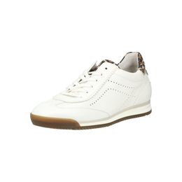 Gabor Sneaker in Wei&szlig; | Gr.: 39