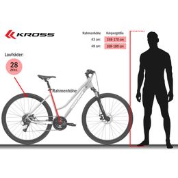 Crossrad &raquo;Crossrad Damen 28" Evado 3.0 grau 16 G&auml;nge&laquo; 16 Gang Shimano ACERA M3020 Schaltwerk Kettenschaltung Crossrad